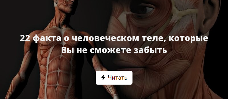 22 факта о человеческом теле которые Вы не сможете забыть